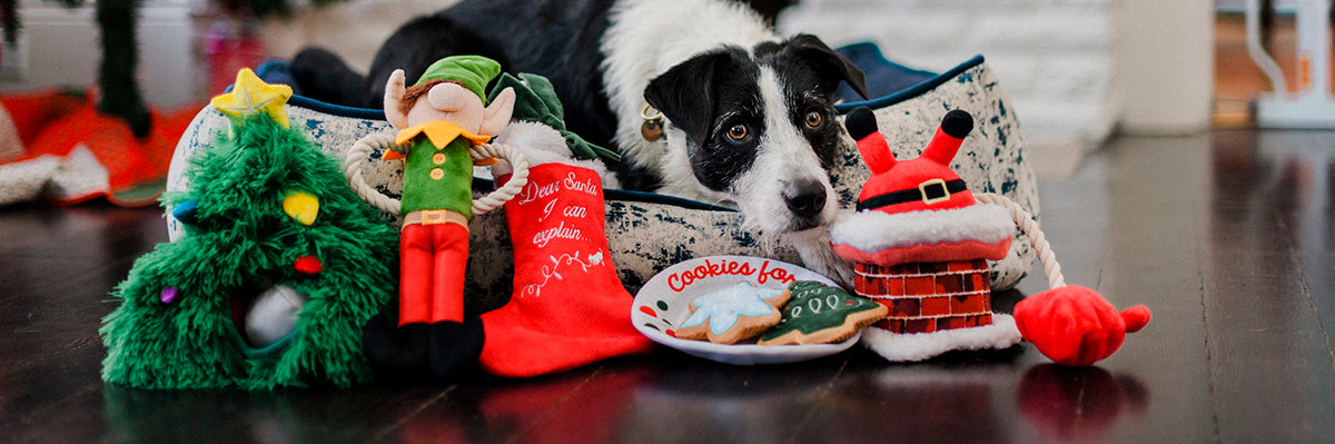 Christmas – In Vogue Pets